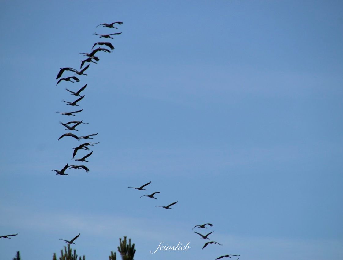 Der September im Jahreskreis: Seine Kräfte und Impulse für Dich und ...
