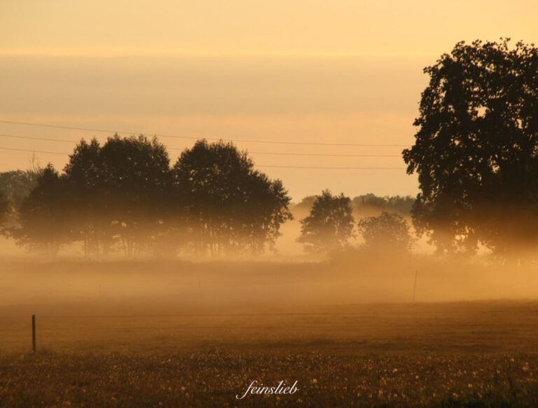 Der September mit Kindern: 67 Ideen für schöne Erlebnisse, Basteleien ...