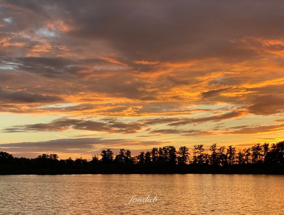 Der September mit Kindern: 67 Ideen für schöne Erlebnisse, Basteleien ...