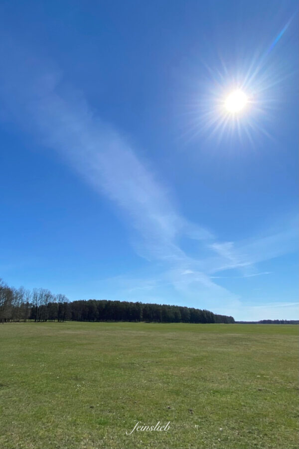Der April im Jahreskreis: Ideen, Impulse, Aktivitäten - feinslieb