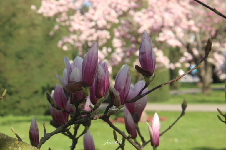 Der April im Jahreskreis: Ideen, Impulse, Aktivitäten - feinslieb