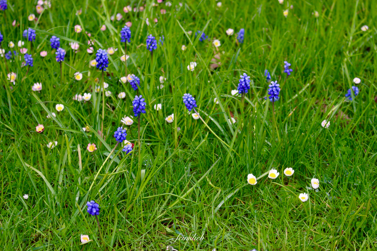 Der April im Jahreskreis: Ideen, Impulse, Aktivitäten - feinslieb
