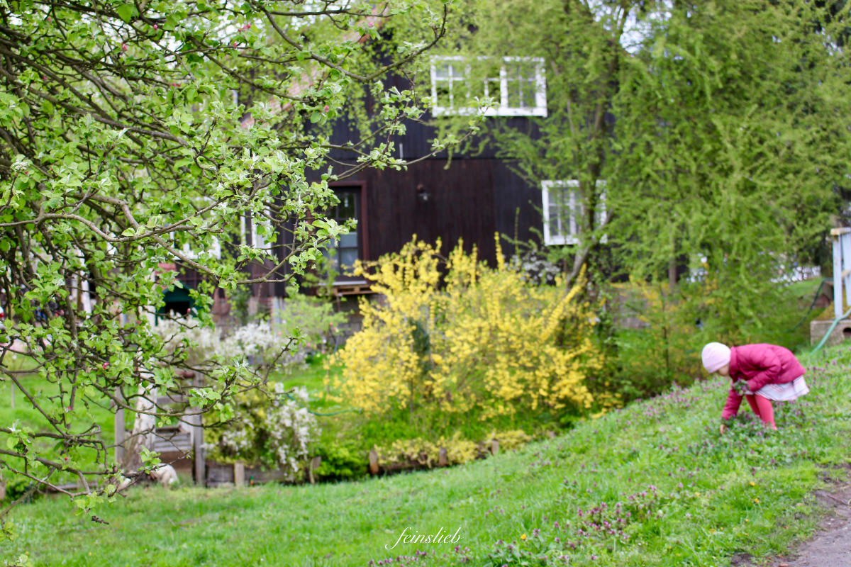 Der April im Jahreskreis: Ideen, Impulse, Aktivitäten - feinslieb