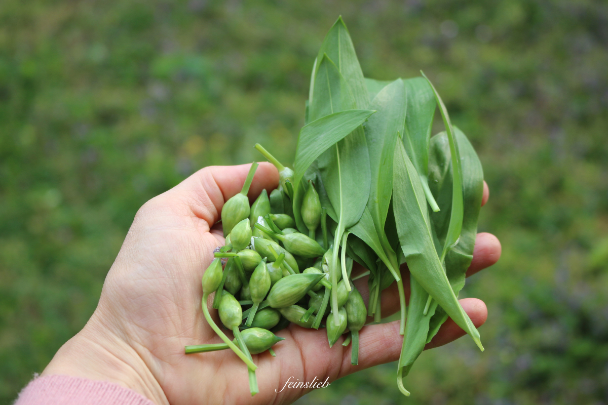 Der April im Jahreskreis: Ideen, Impulse, Aktivitäten - feinslieb