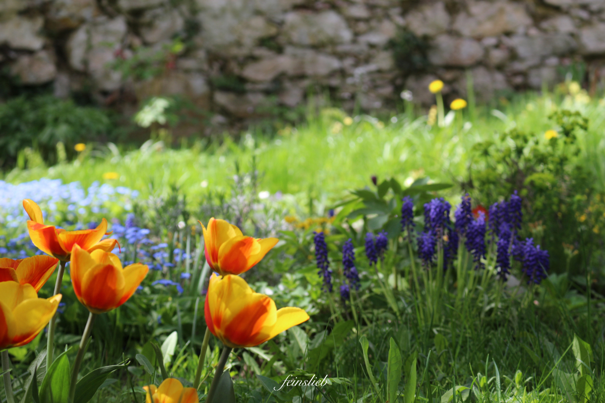 Der April im Jahreskreis: Ideen, Impulse, Aktivitäten - feinslieb
