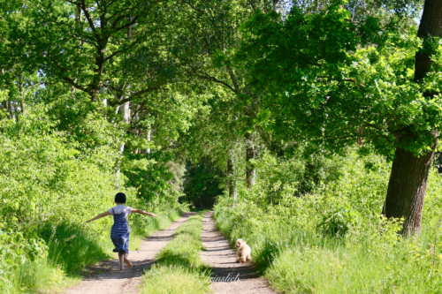 Der Juni im Jahreskreis: Bedeutung, Rituale, Jahreskreisfeste - feinslieb